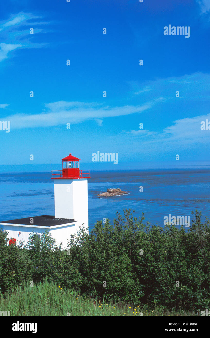 Quaco hi-res stock photography and images - Alamy