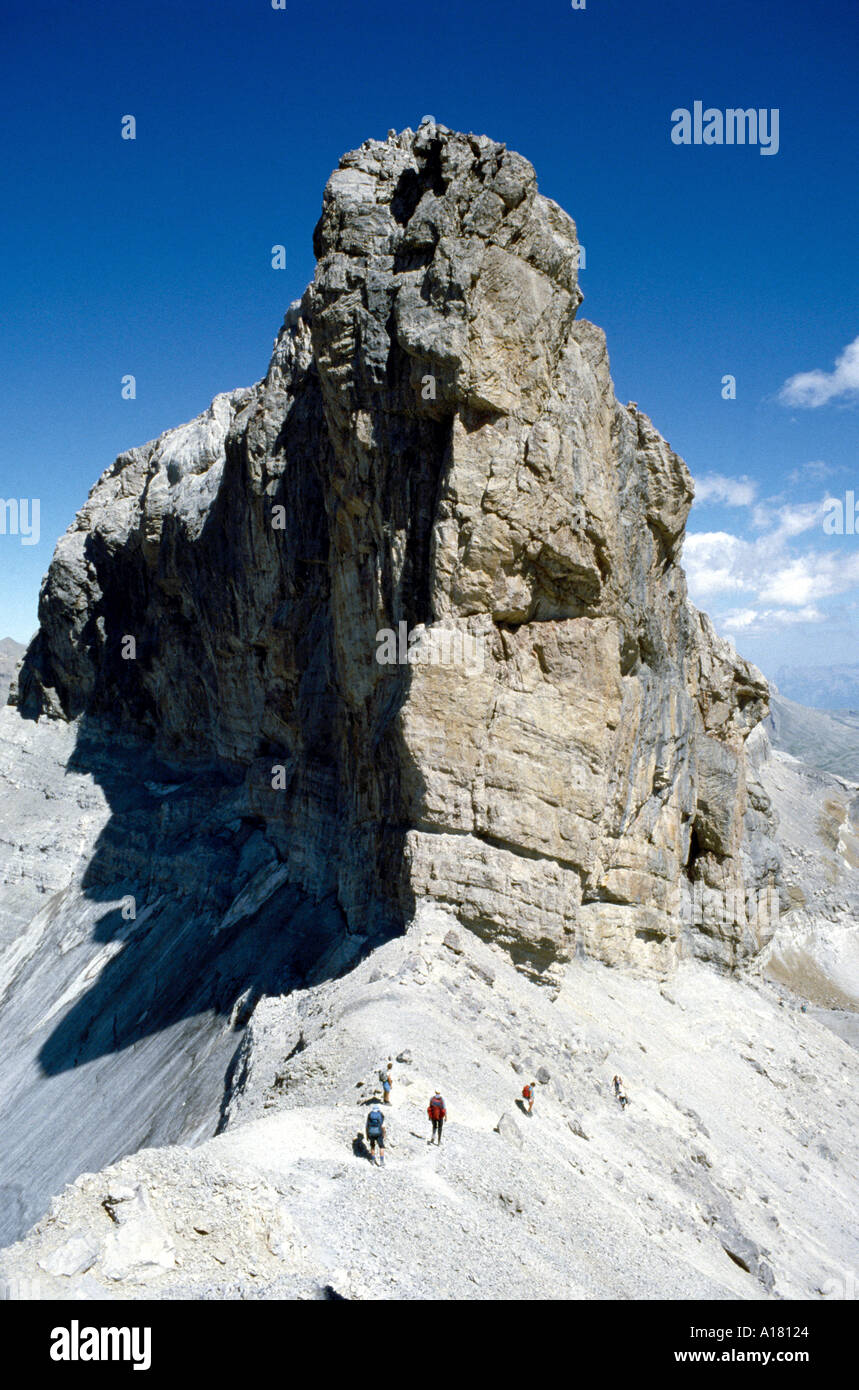 False breche hi-res stock photography and images - Alamy