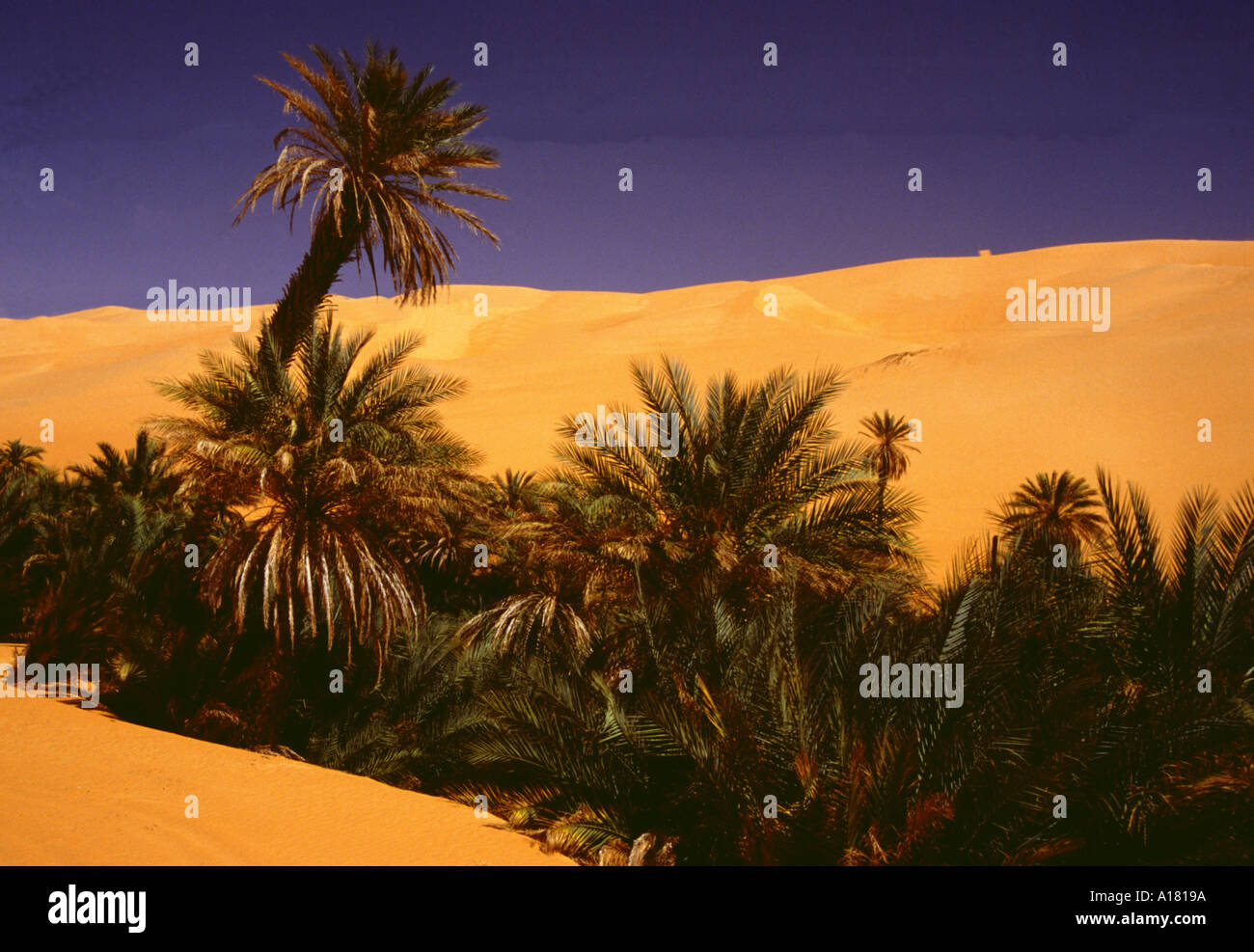 Libya Oasis High Resolution Stock Photography and Images - Alamy