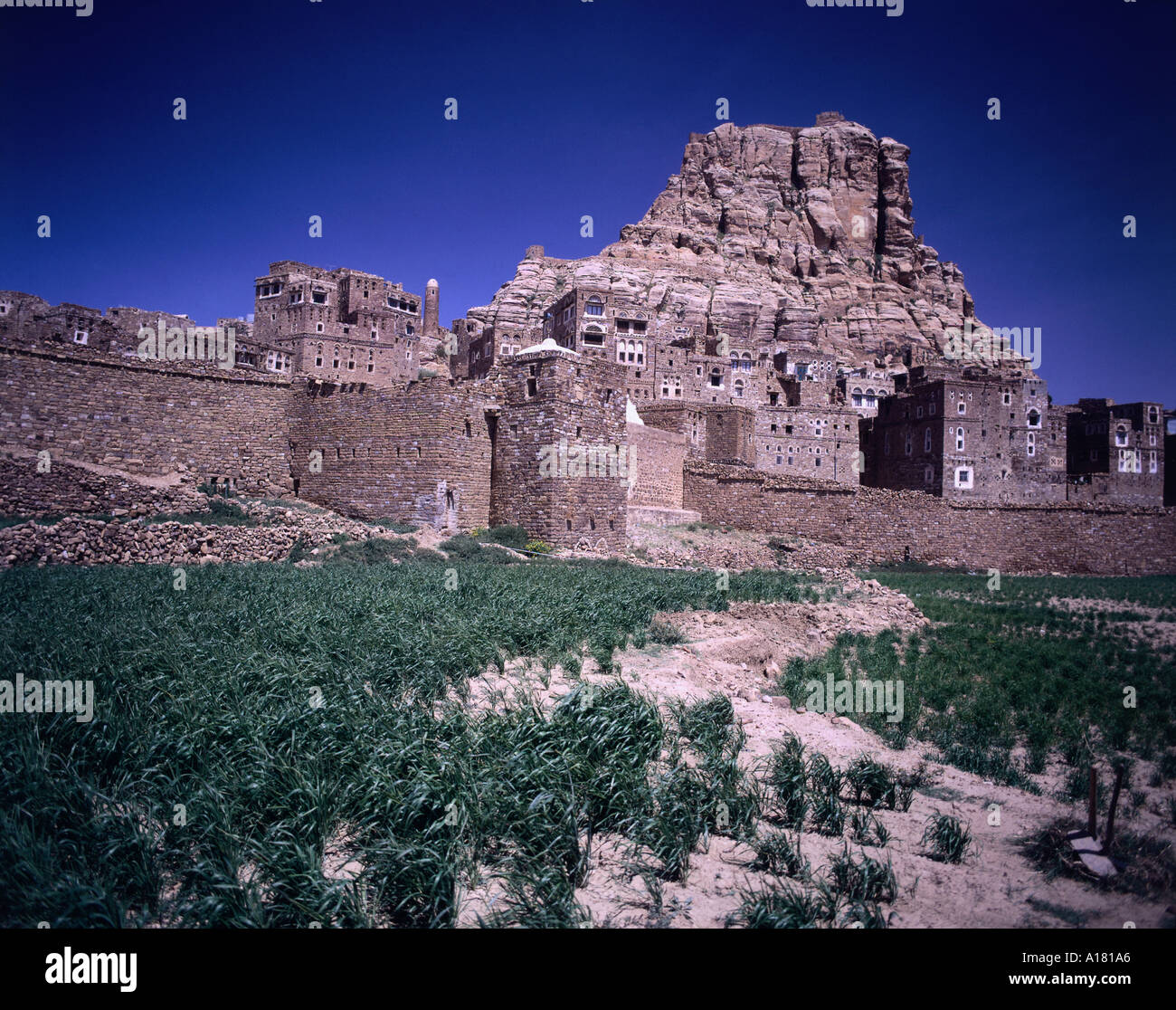 Jemen hi-res stock photography and images - Alamy