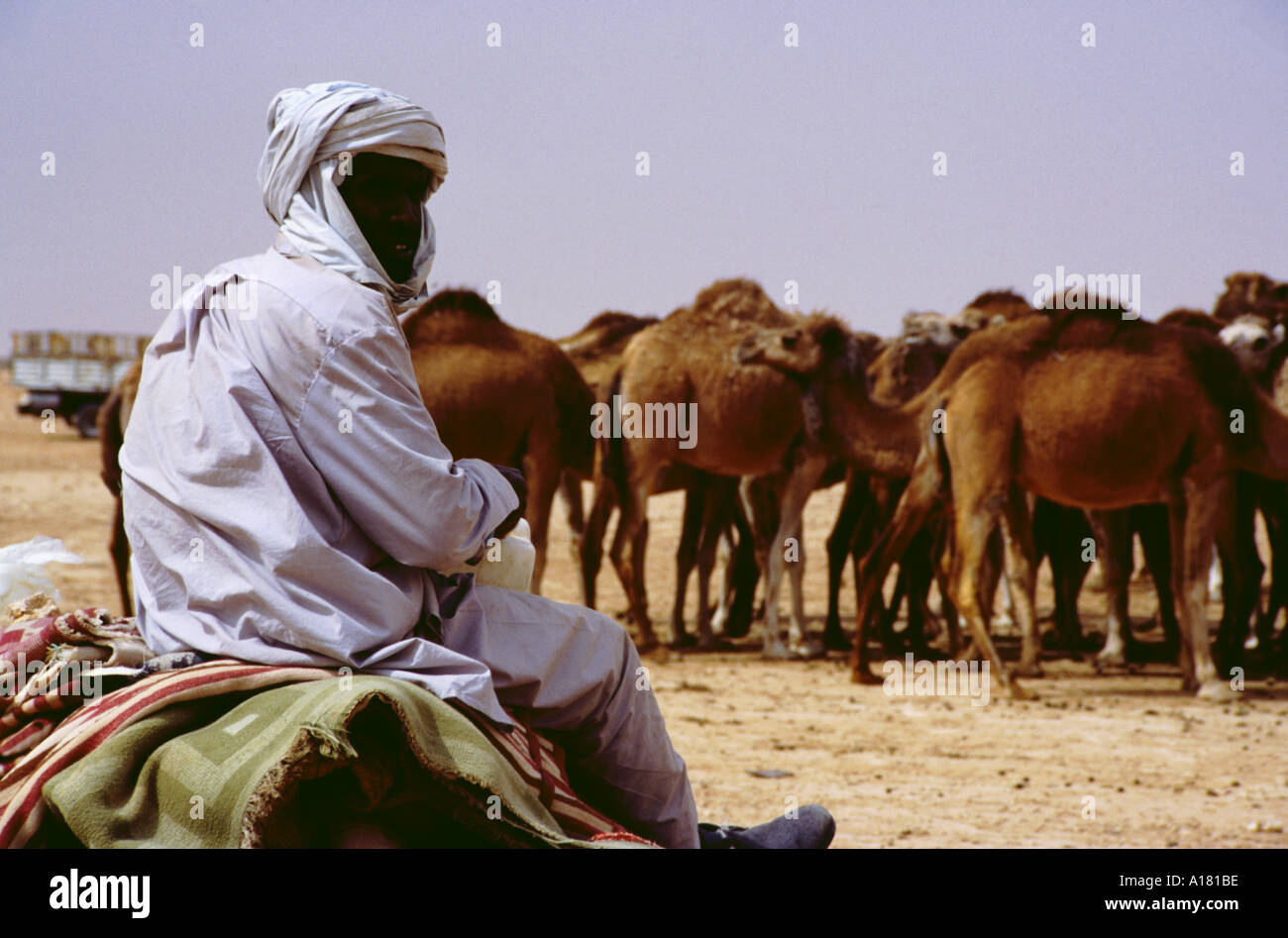 Watersprin hi-res stock photography and images - Alamy