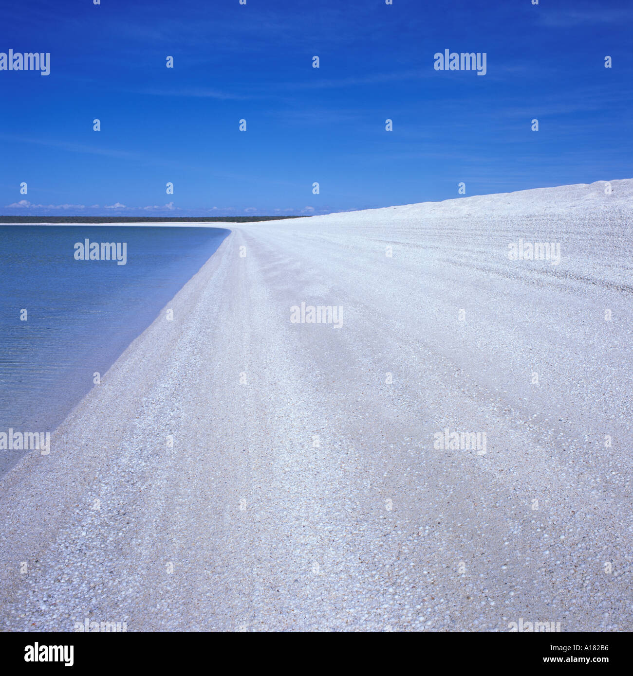 Shell Beach in Shark Bay Western Australia Stock Photo - Alamy