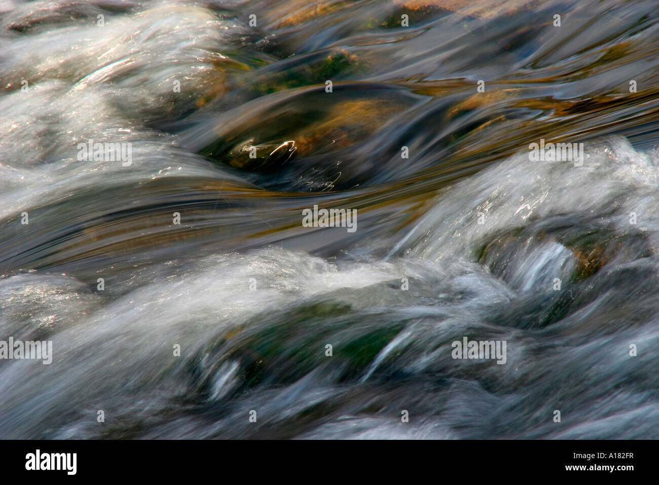 River Teviot 2, Scotland, UK Stock Photo - Alamy