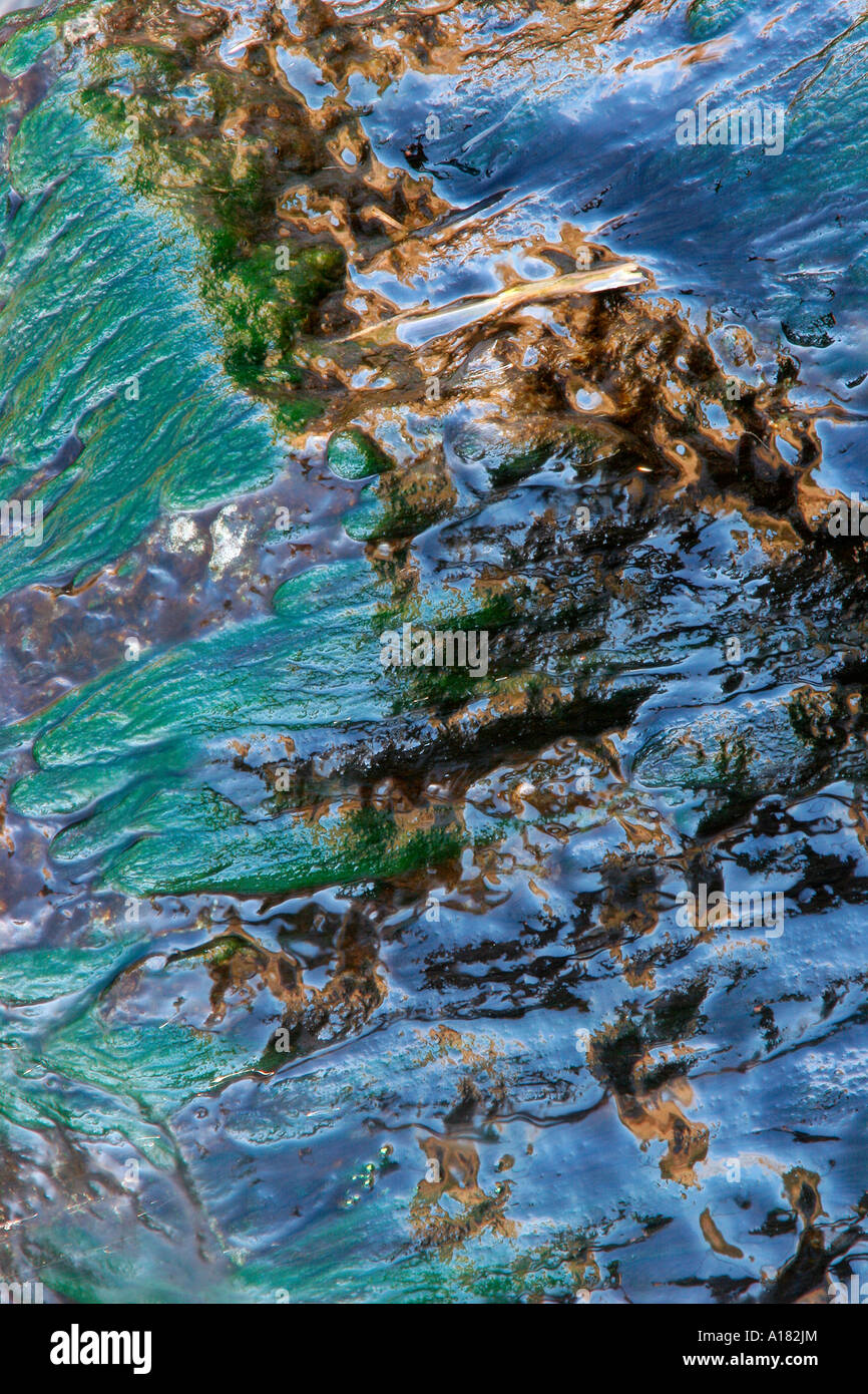 richly textured colorful surface of wet rock Stock Photo - Alamy