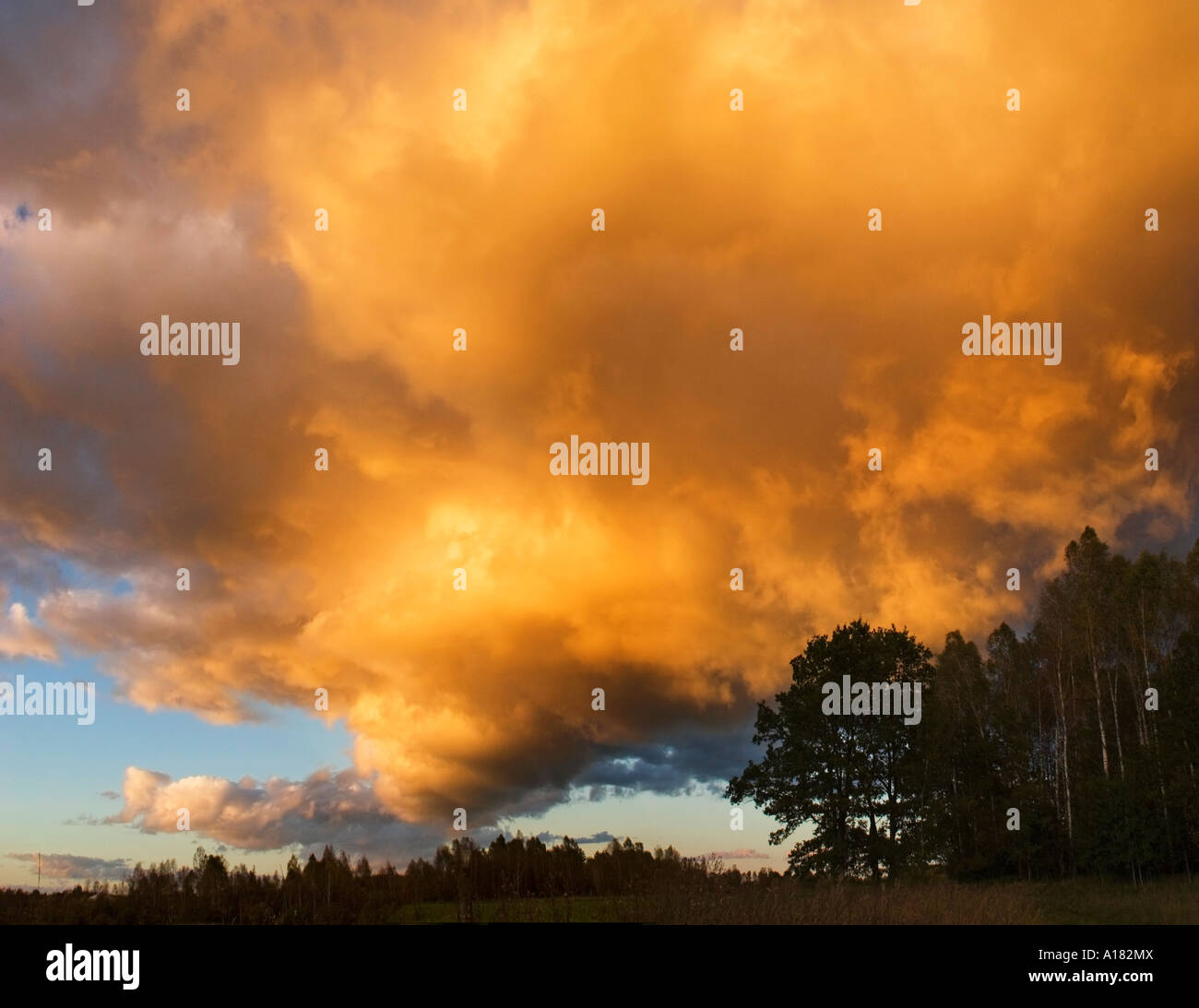 Orange sunset clouds over field and trees Stock Photo - Alamy