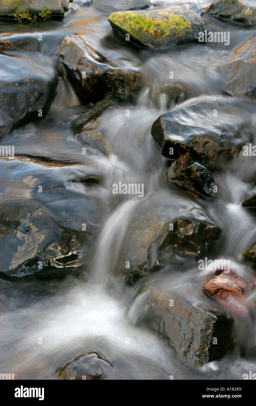 River Teviot Scotland Borders Stock Photos & River Teviot Scotland ...