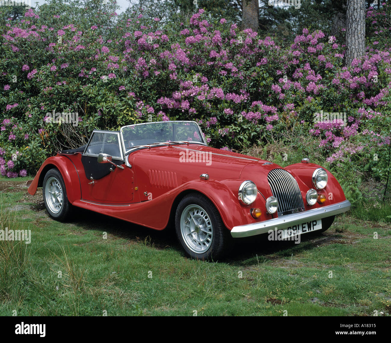 1990 Morgan Plus 8 Stock Photo - Alamy