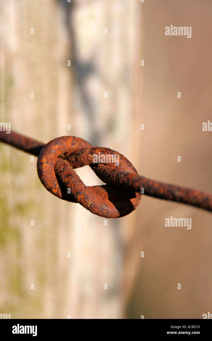 Timeproof hi-res stock photography and images - Alamy