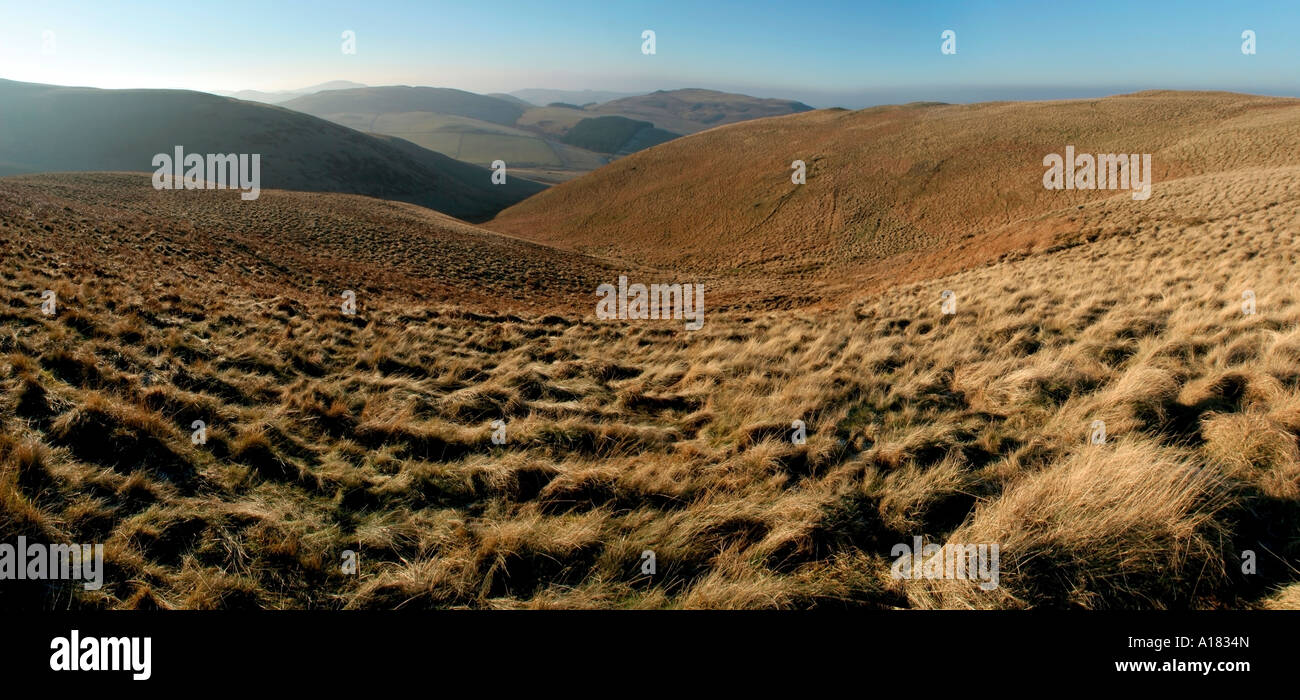 Cheviot hills borders hi-res stock photography and images - Alamy