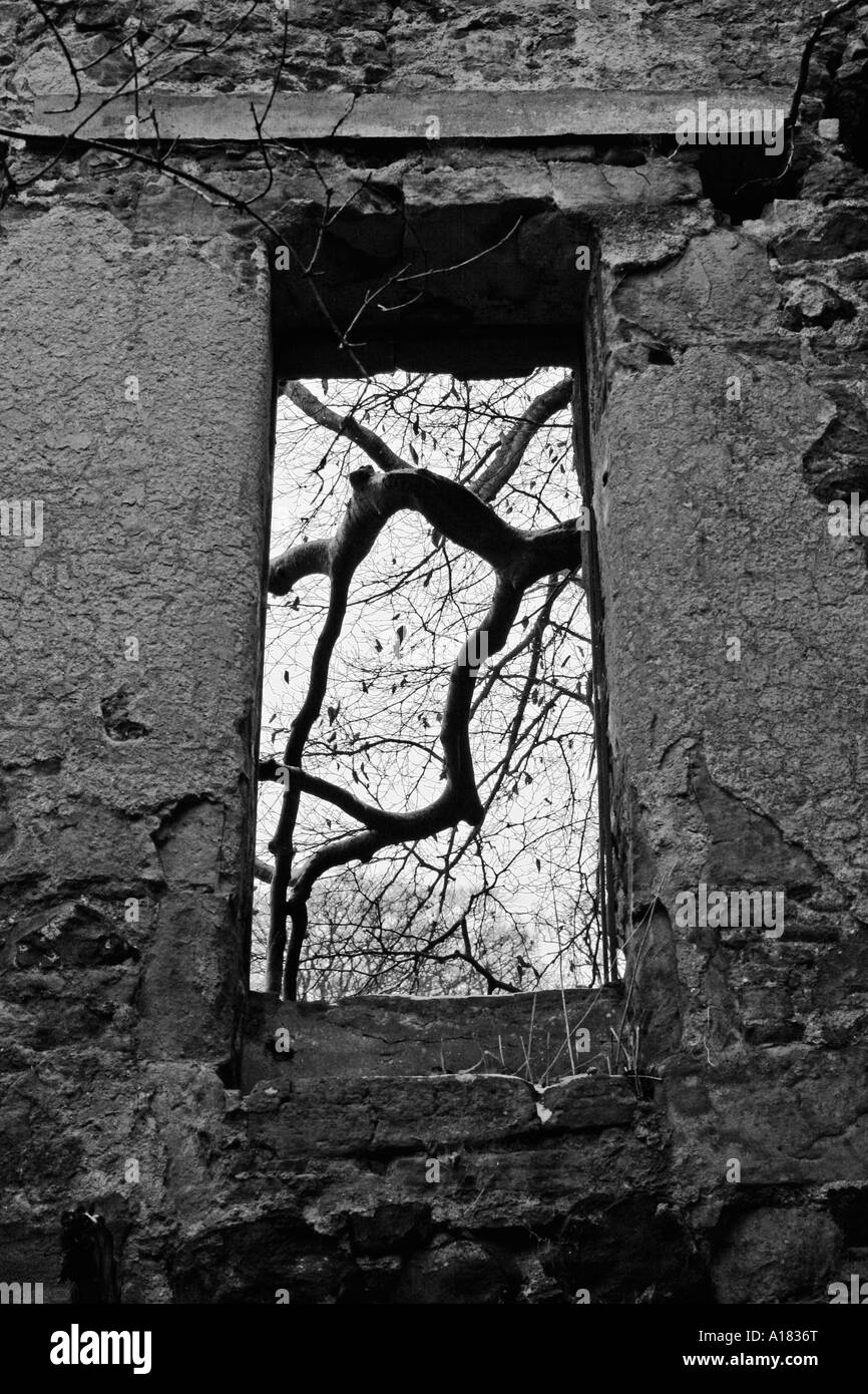 view through window in ruined house, winter, roxburghshire, scotland ...