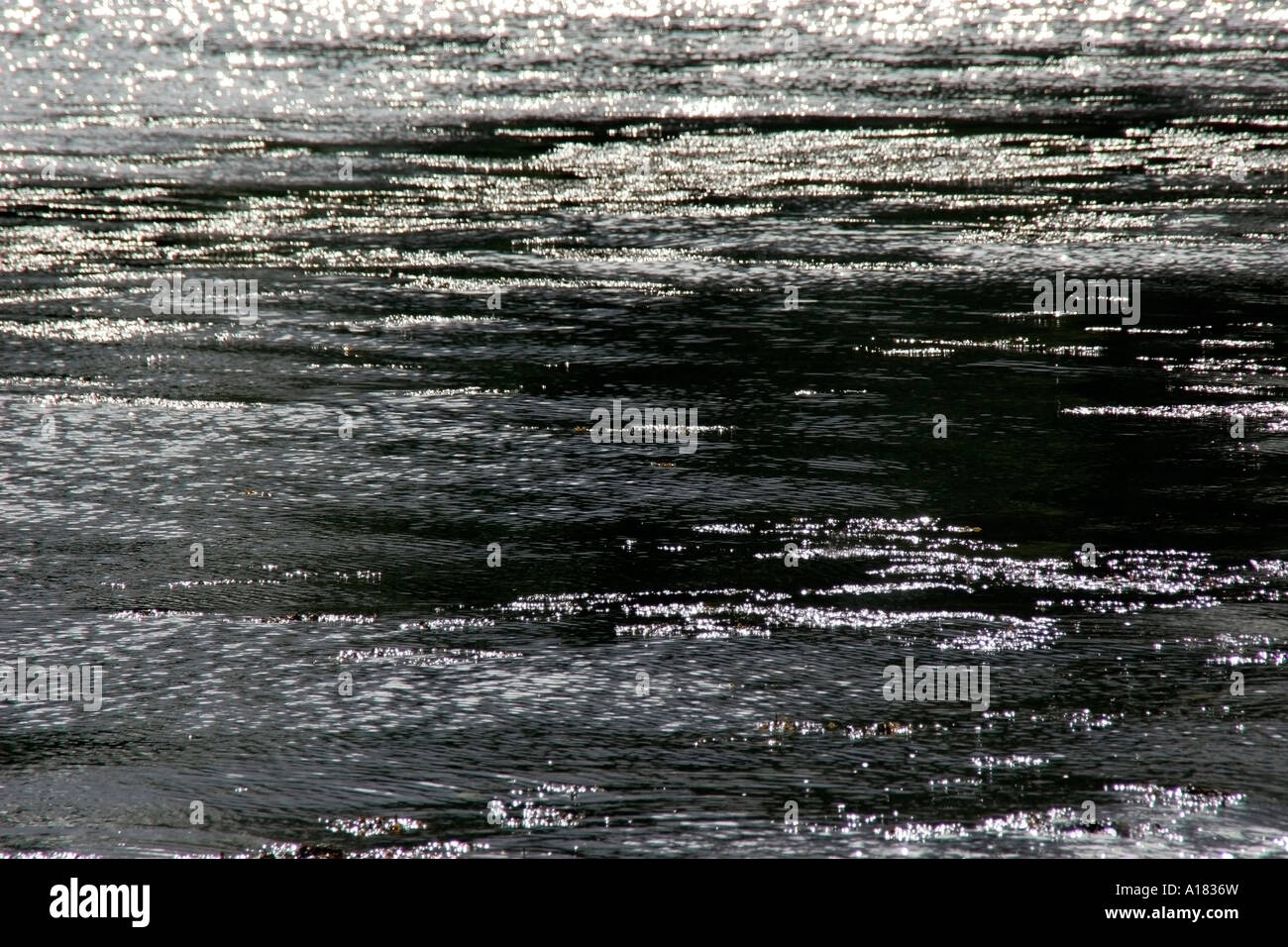 Dark contrast water surface hi-res stock photography and images - Alamy
