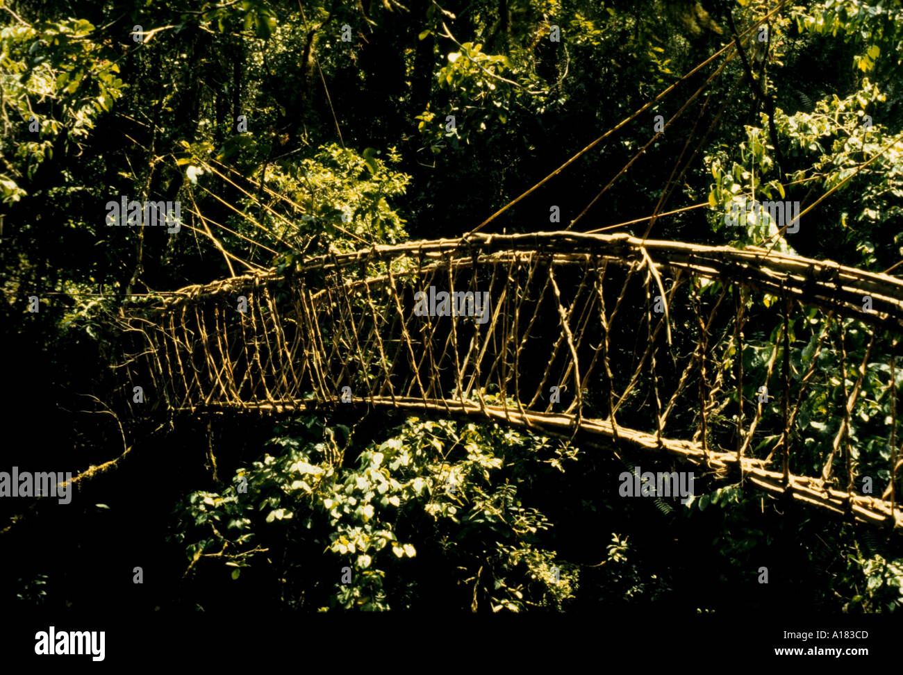 Rope bridge near Tari Papua New Guinea Pacific Islands S Sassoon Stock ...