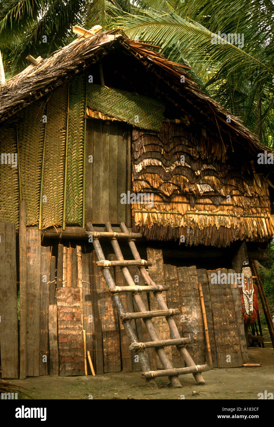 Traditionasl house with ladder to door Papua New Guinea Pacific Islands ...