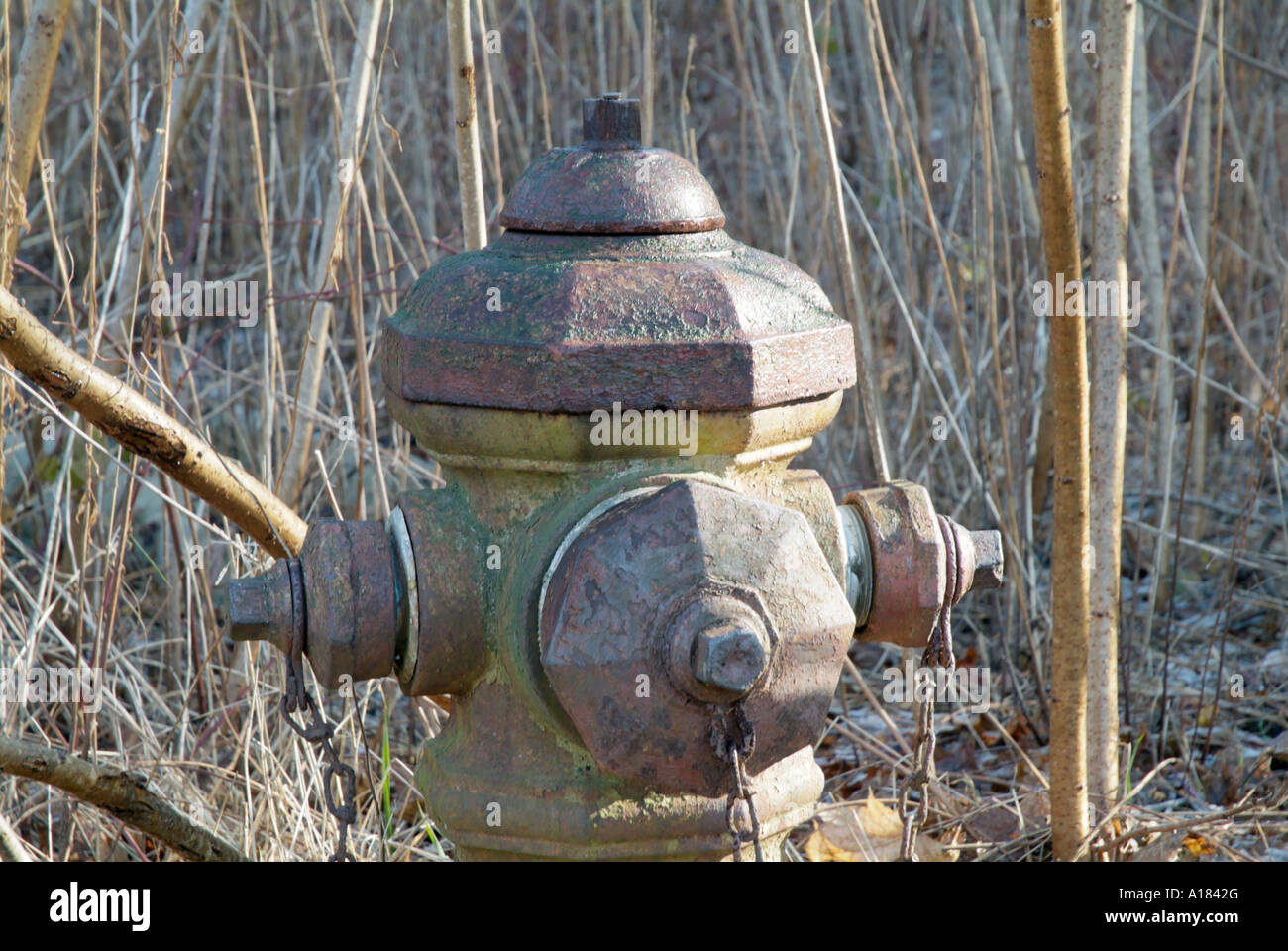 old rusted fire hydrant, water, fire truck Stock Photo - Alamy