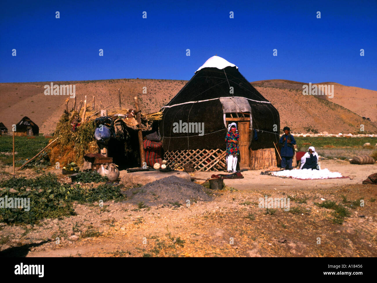 Usbecki tribespeople outside yurt near Maymana Afghanistan Asia F J ...
