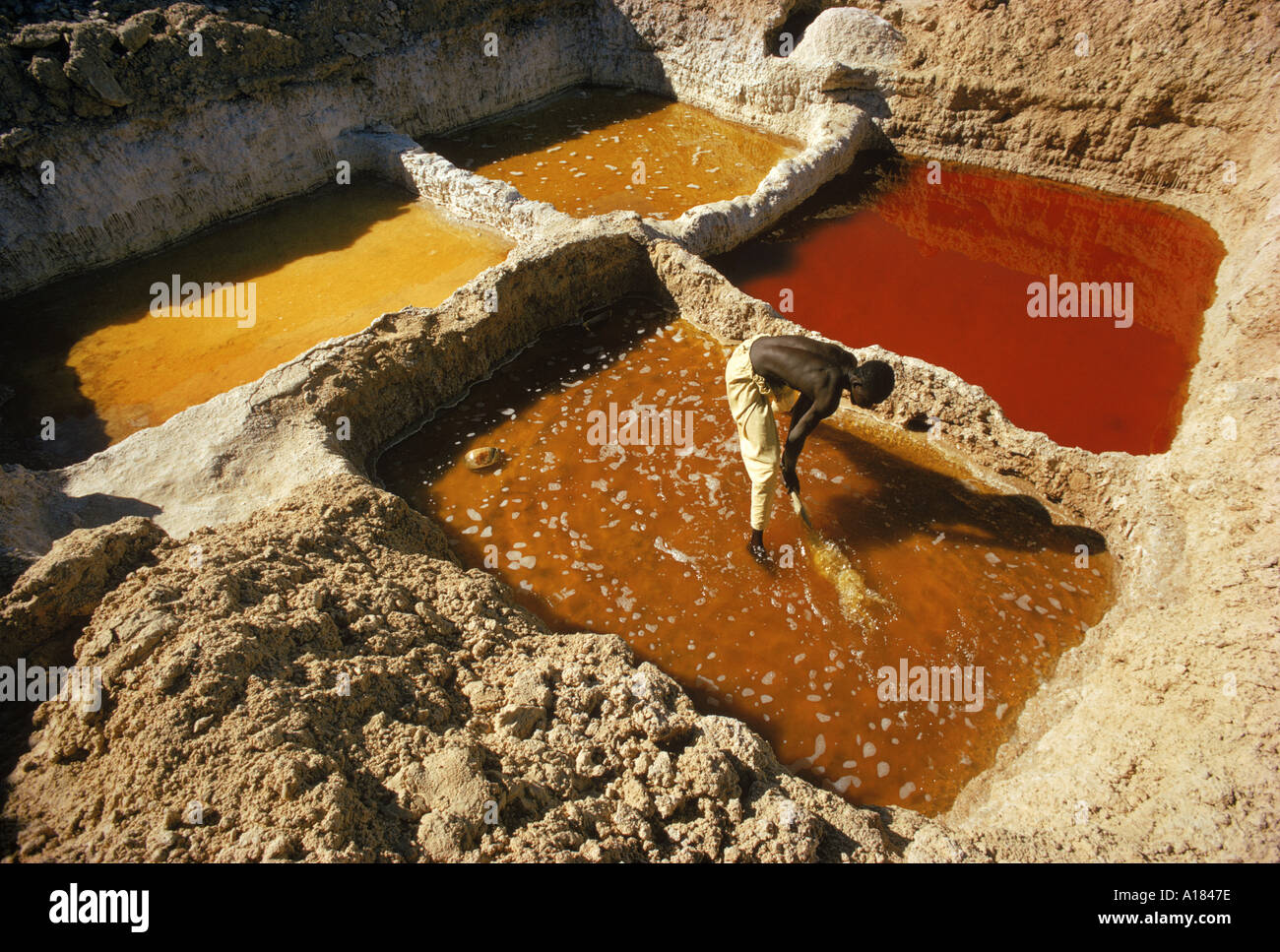 Man working in the salt pans at Bilma Niger Africa J Gardey Stock Photo ...