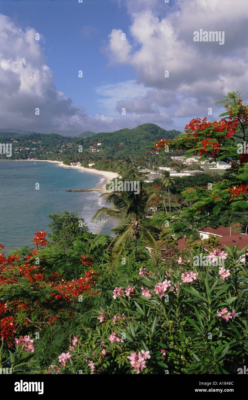 Aerial view down Grand Anse Beach Grenada Caribbean Robert Harding ...