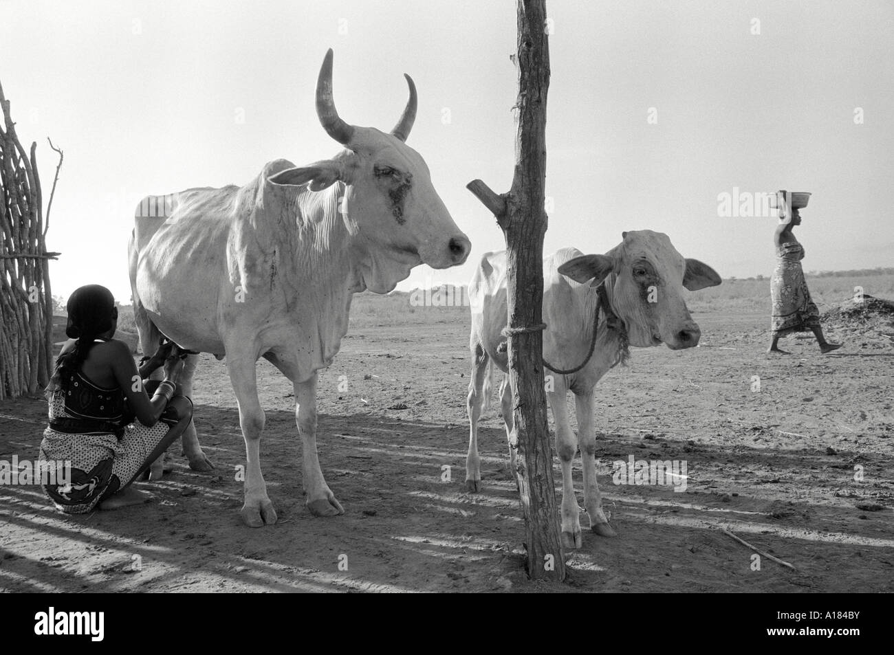 Borana Tradition Black and White Stock Photos & Images - Alamy