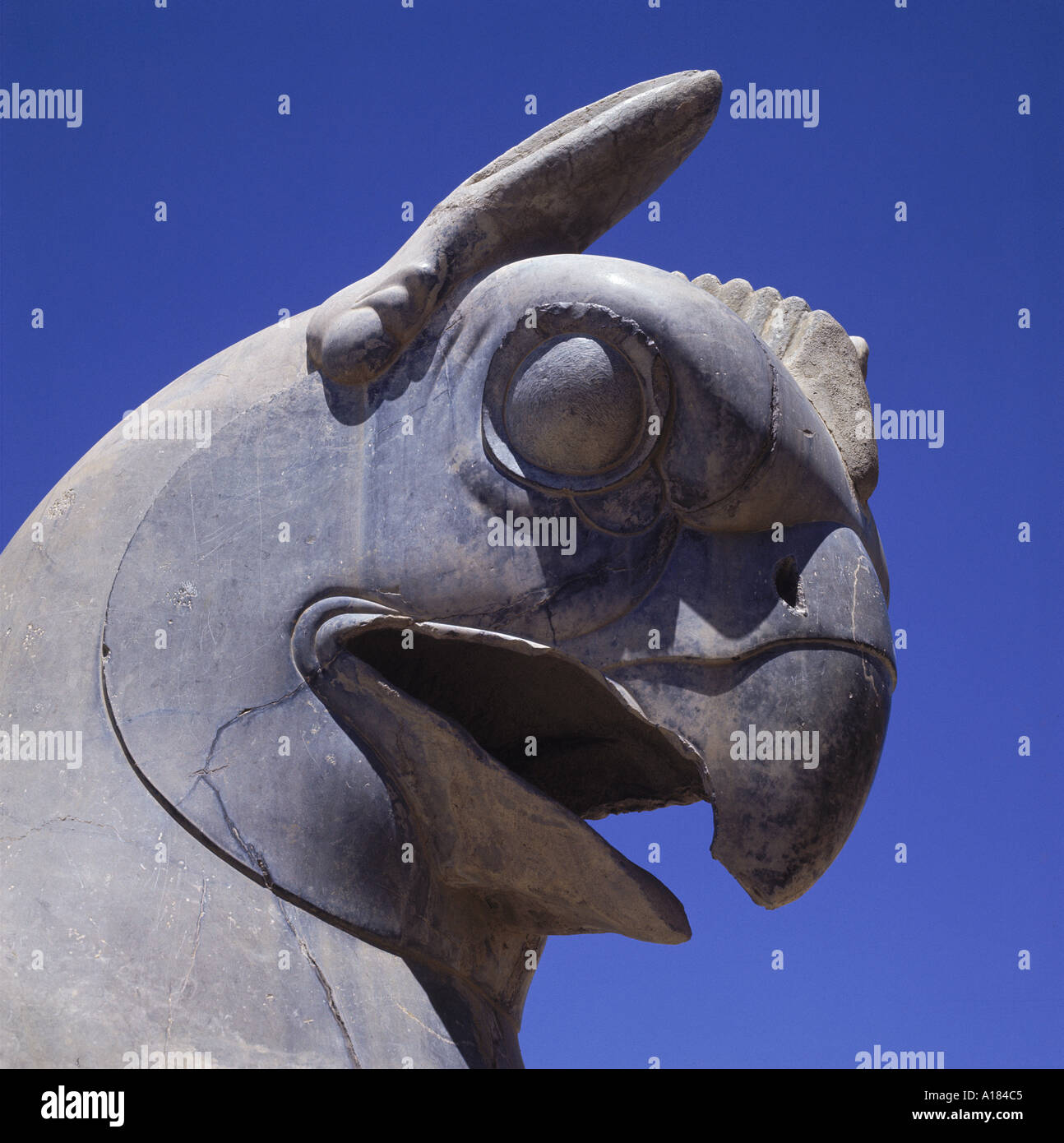The Head of Hona sacred bird Persepolis Iran Middle East Robert Harding ...