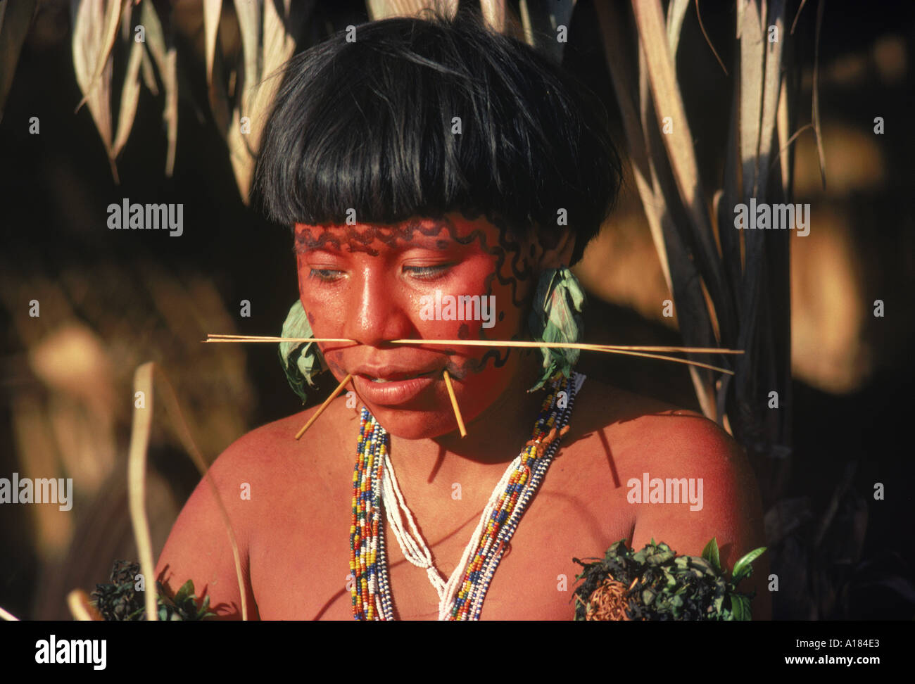 Yanomami Stock Photos & Yanomami Stock Images - Page 3 - Alamy