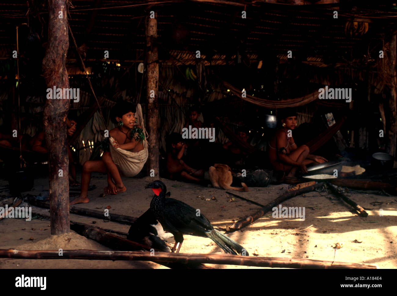 Yanomami indians hi-res stock photography and images - Alamy
