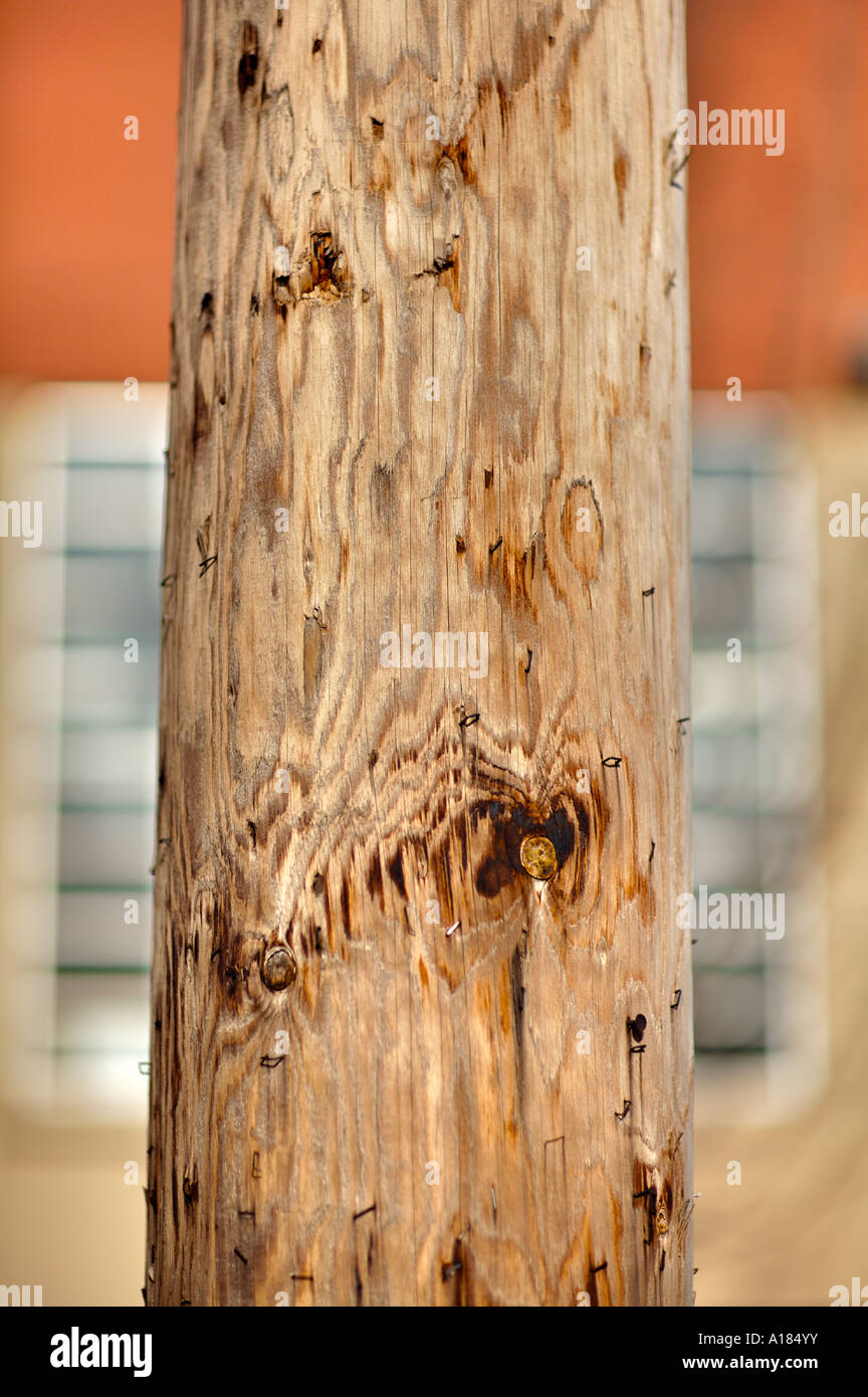 pole with out sign Stock Photo - Alamy