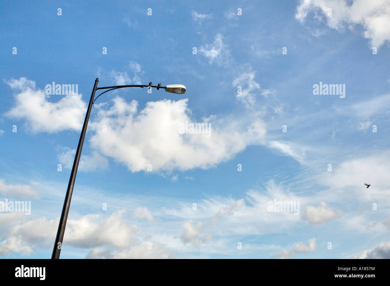 pole without sign Stock Photo - Alamy