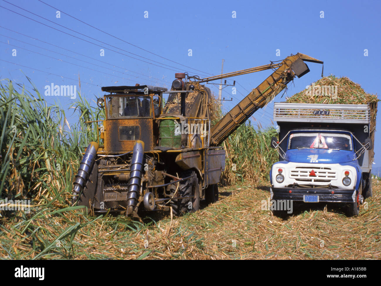Cuba sugar cane plantation hi-res stock photography and images - Alamy