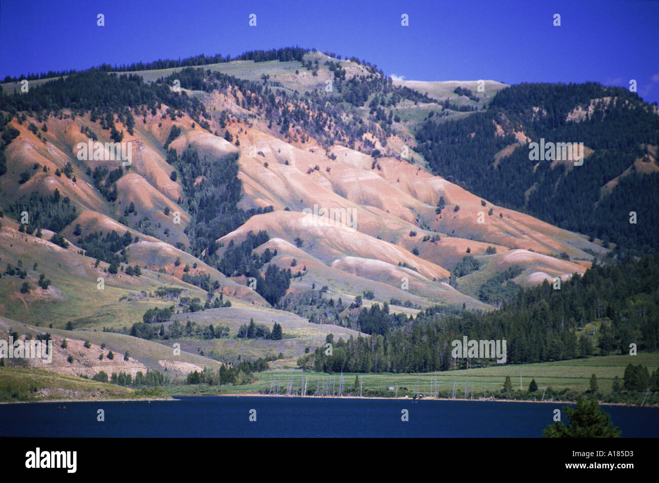 Red shale exposed on hillside Gros Ventre Valley Wyoming USA A C ...