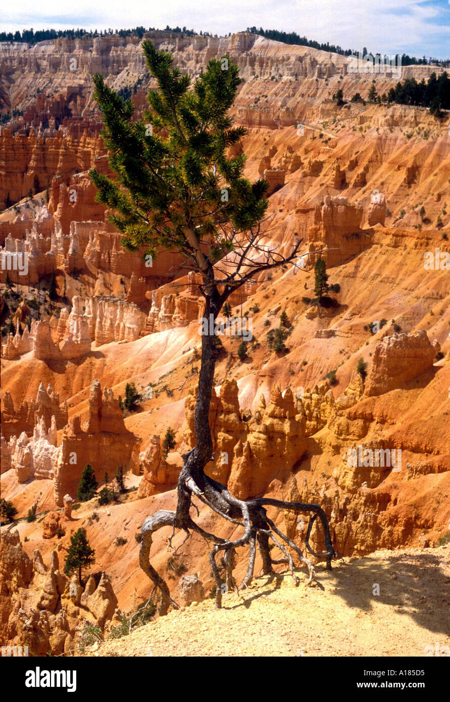 Weathering washed away hi-res stock photography and images - Alamy