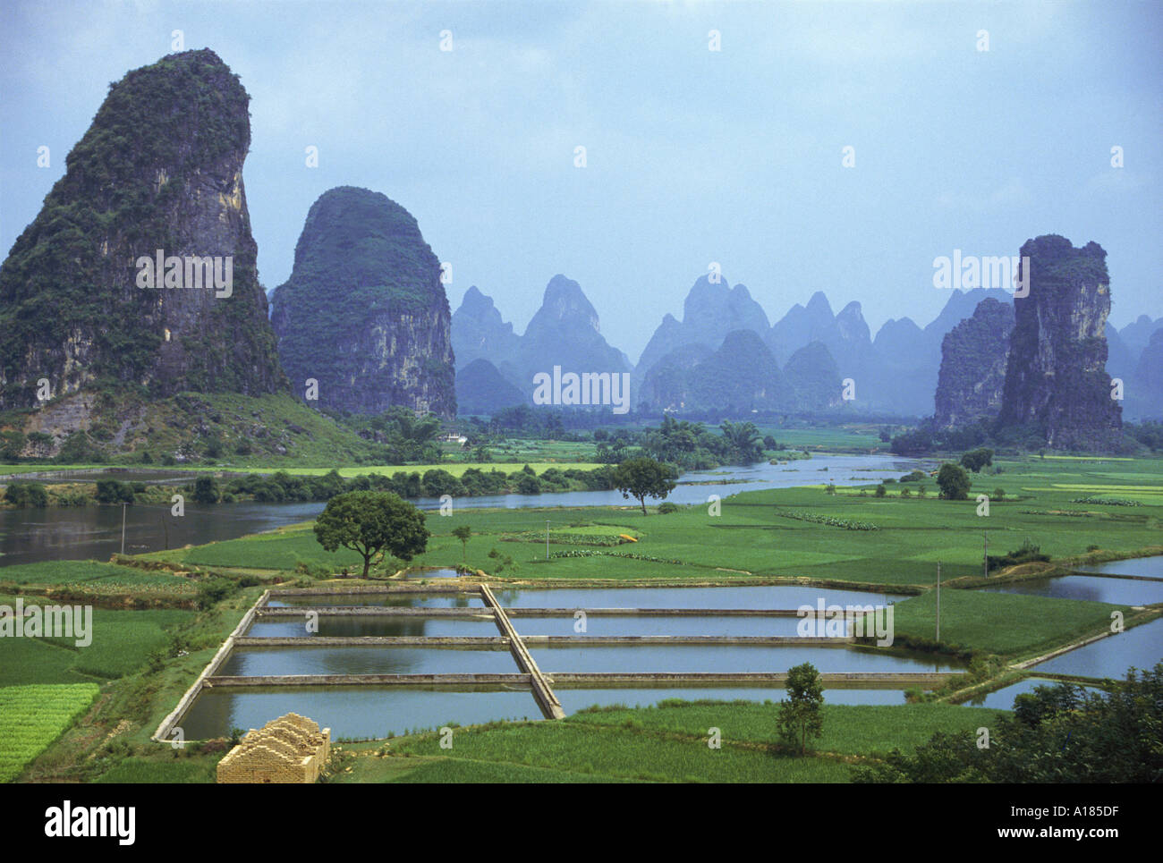Landscape of rice paddies fish farms and limestone pinnacles in the ...