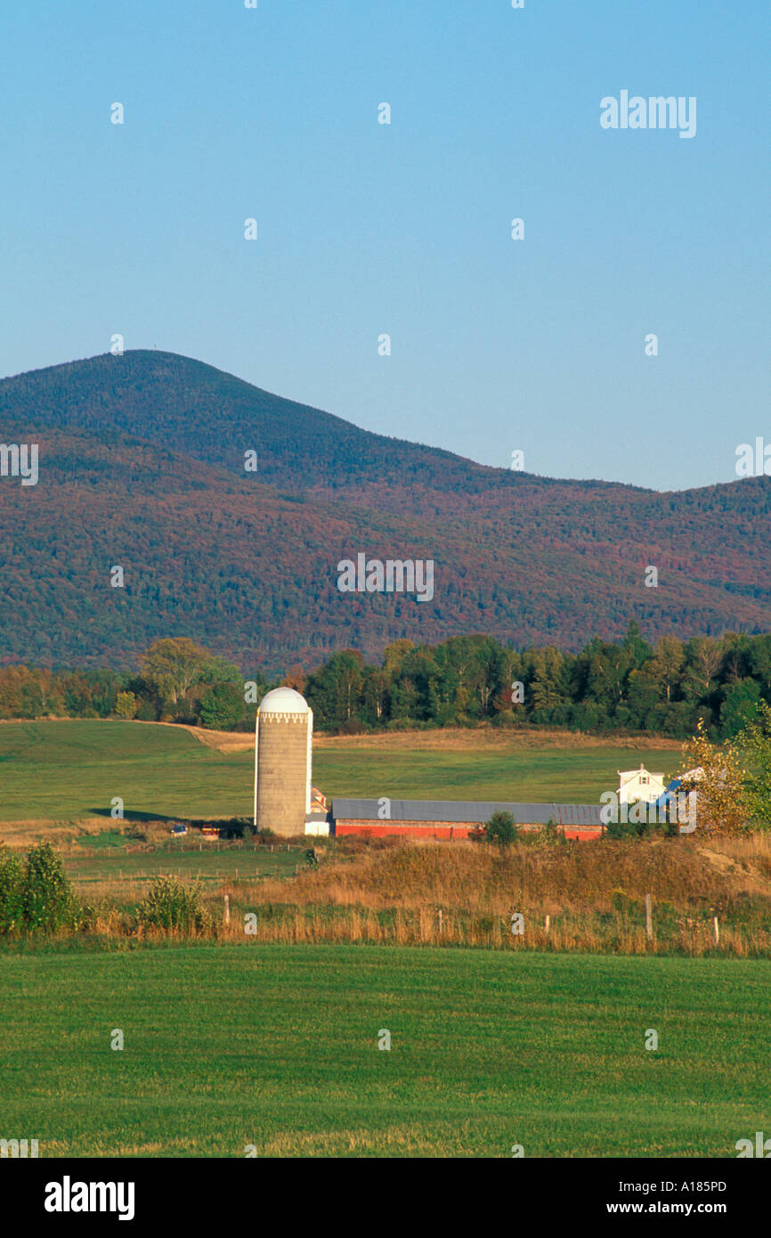 Barton VT A farm in Vermont s Northern Forest in the Northern Green ...
