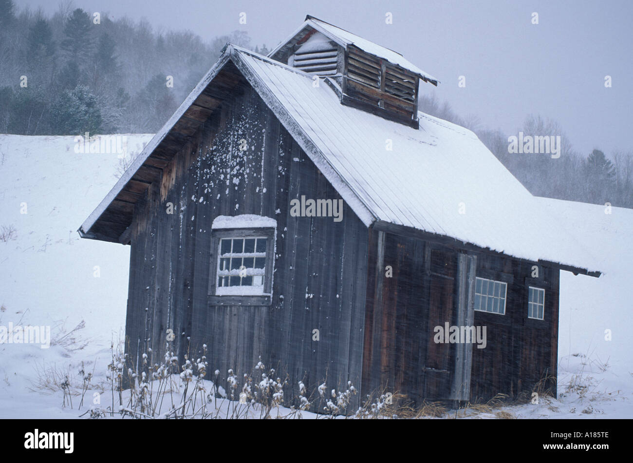 Coventry VT Barns Northern Forest Snow swirls around a shed on a farm ...