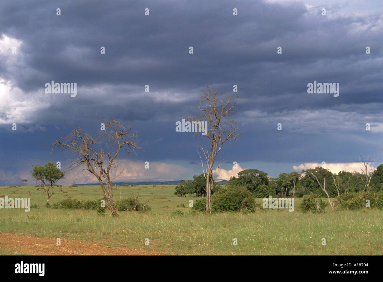 Masai Mara landscape Kenya Africa Robert Harding Stock Photo - Alamy