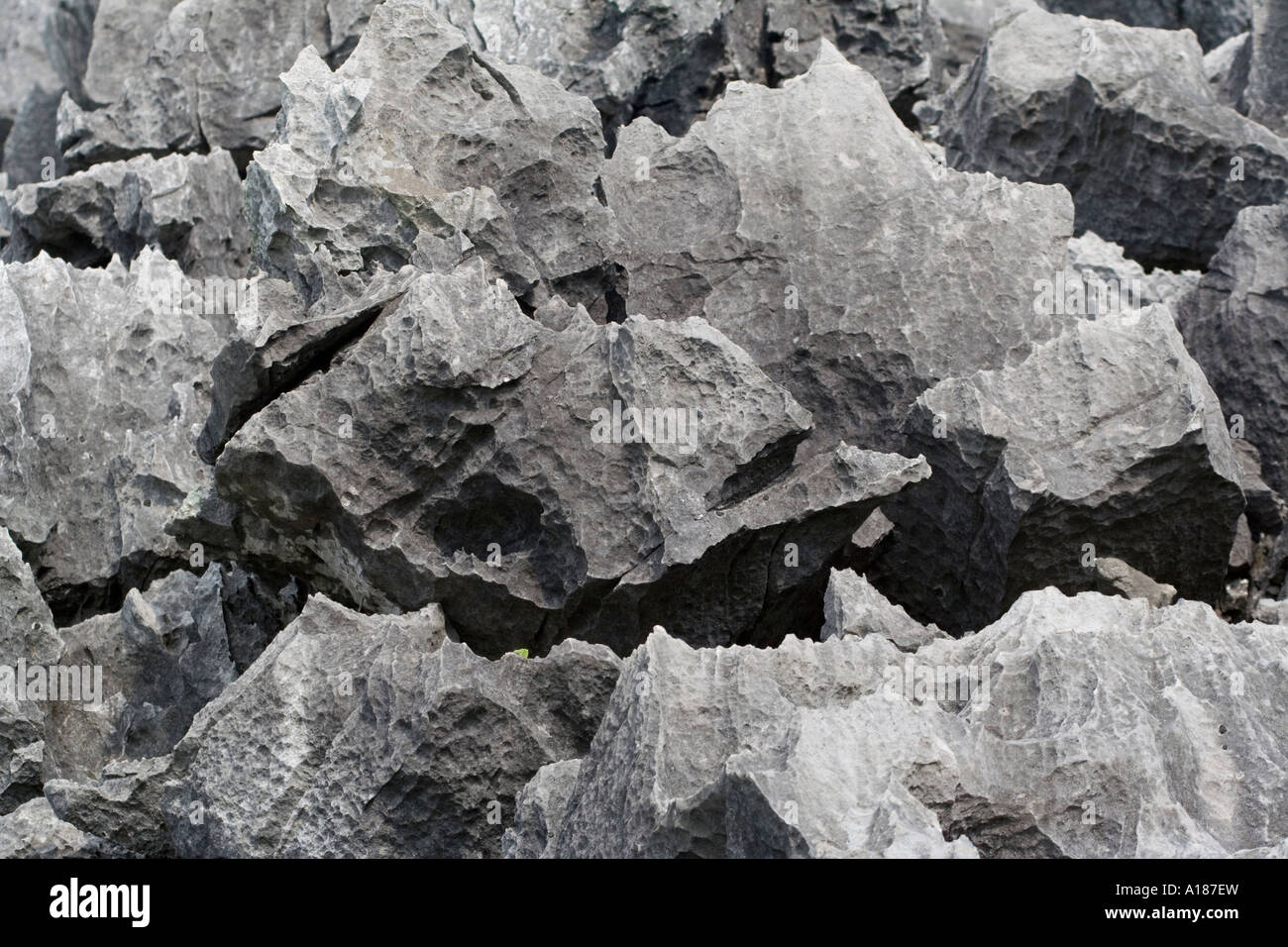 Limestone Island Rocks, Monkey Island, Halong Bay Vietnam Stock Photo ...