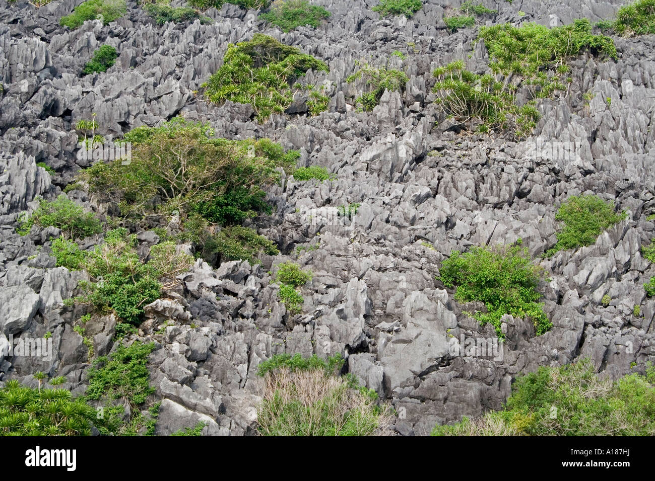 Limestone Island Rocks Halong Bay Vietnam Stock Photo - Alamy