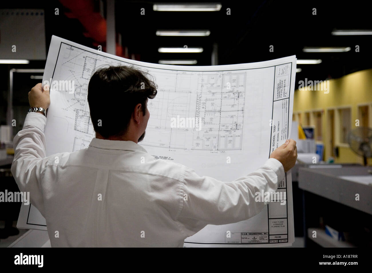 Man with blueprint Stock Photo - Alamy