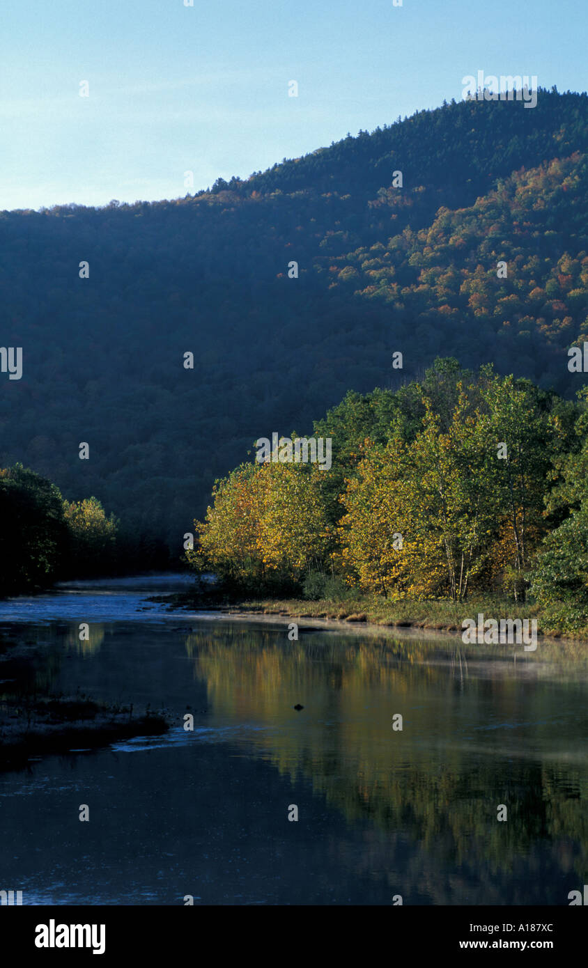 Townshend VT Fall colors on the banks of the West River Below the dam ...