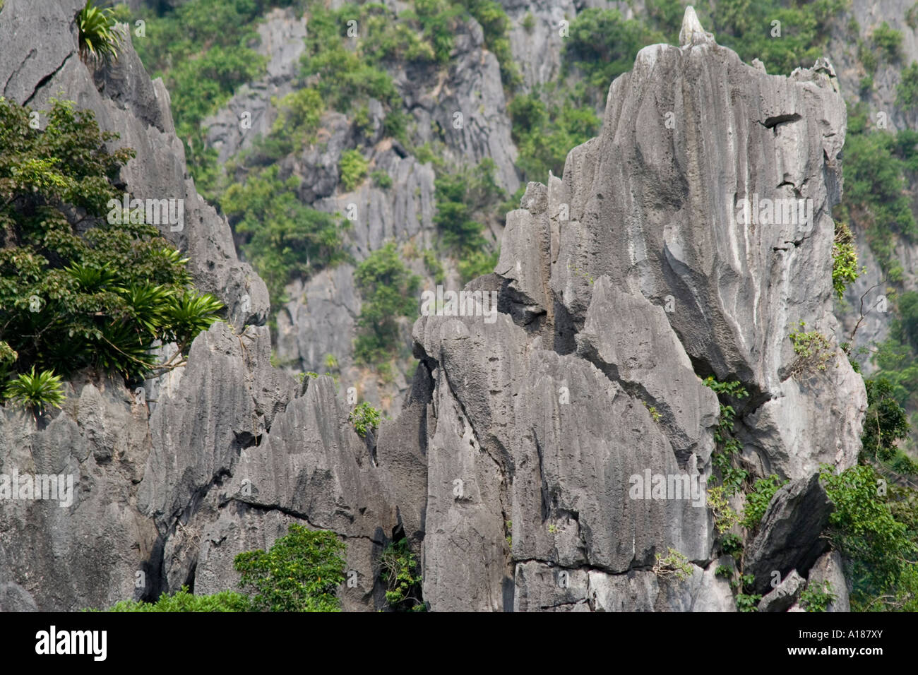 2007 Limestone Island Rocks Halong Bay Vietnam Stock Photo - Alamy