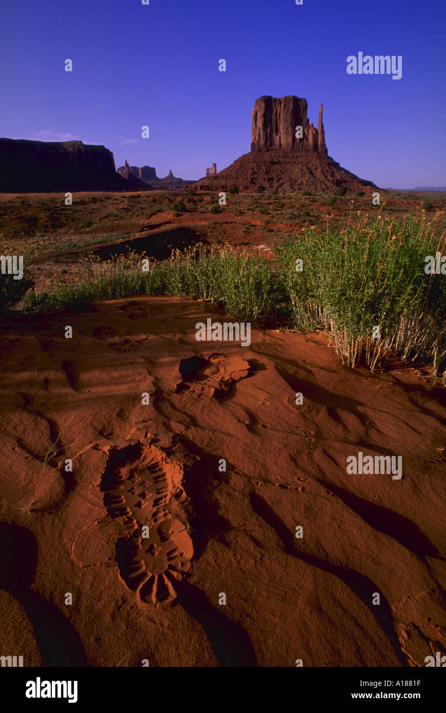 Arizona desert footprints hi-res stock photography and images - Alamy
