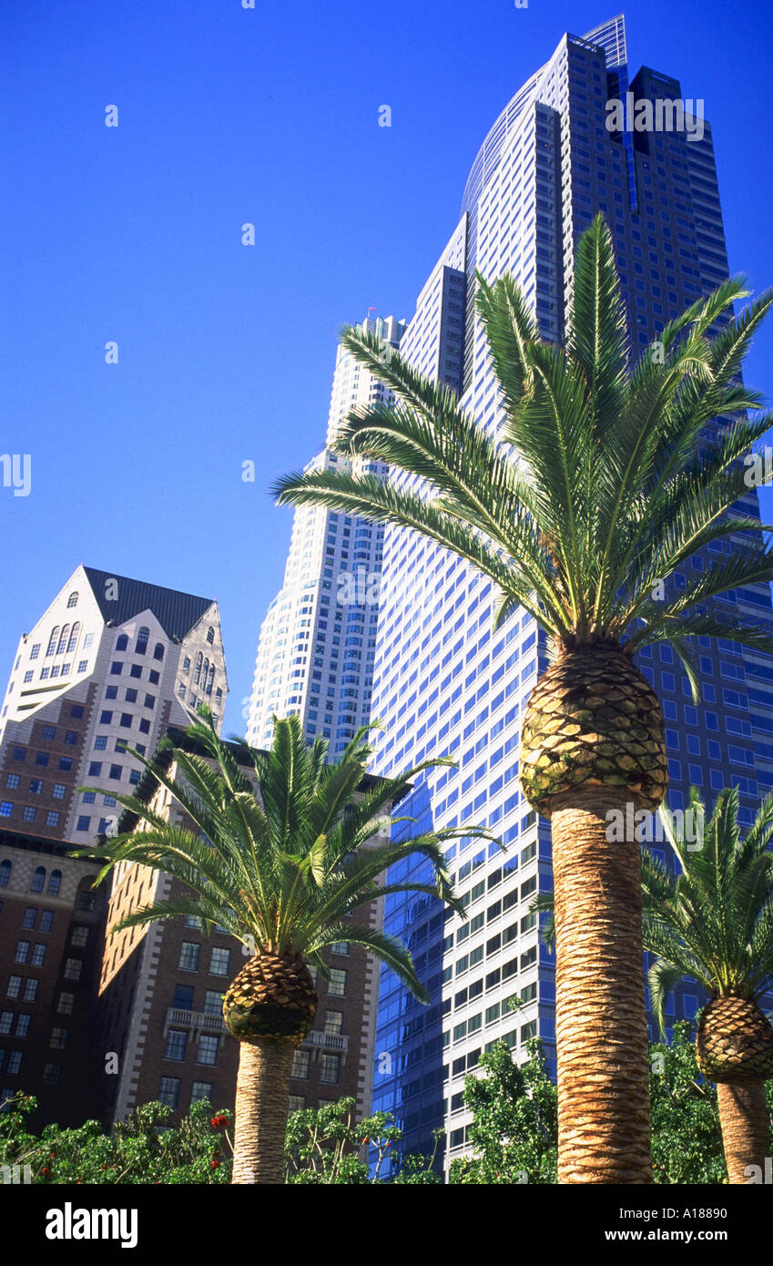 Skyscrapers and palm trees in downtown Los Angeles California Stock ...