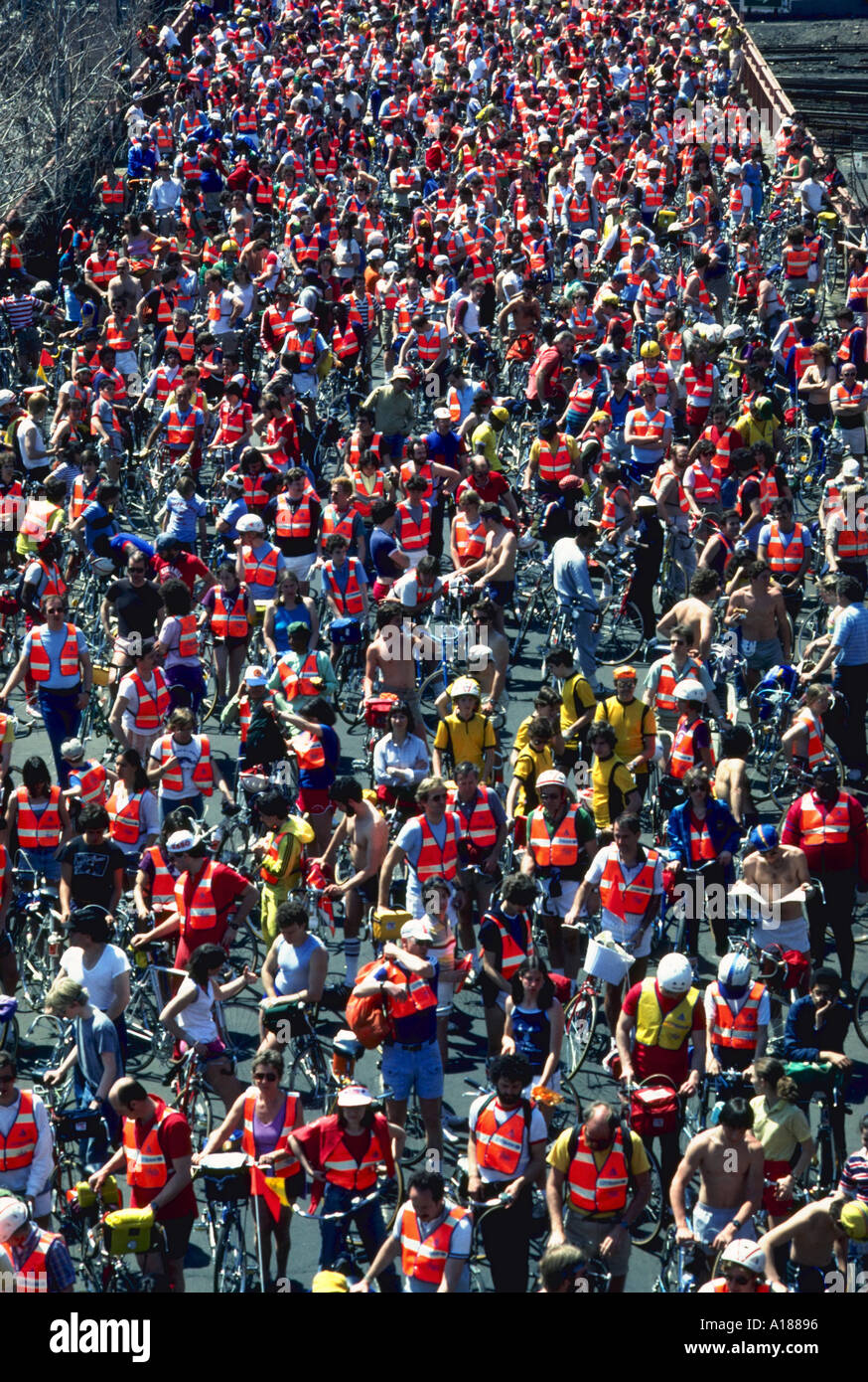Crowd of bicyclists lining up for a race Stock Photo - Alamy