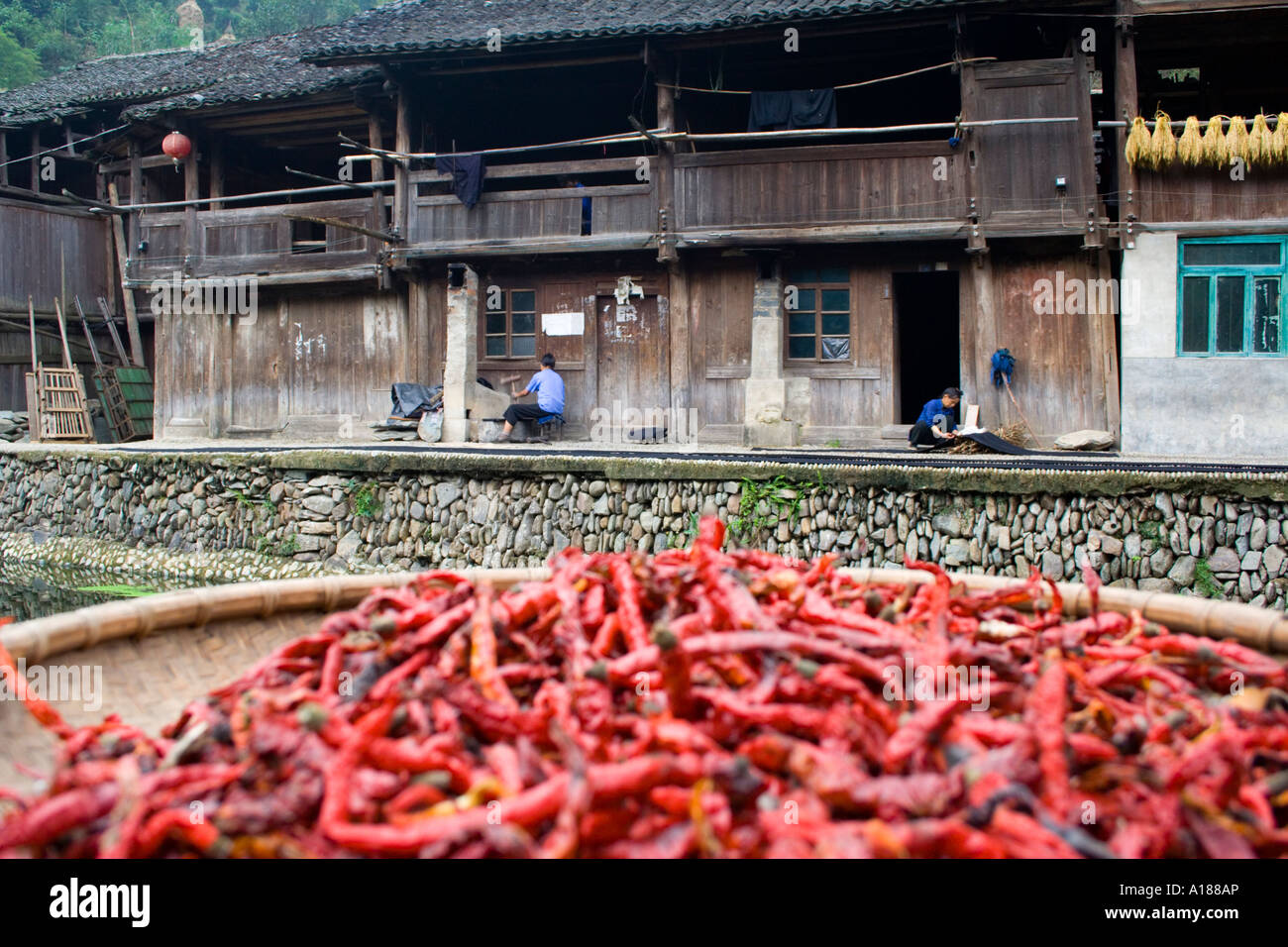 Making Indigo Fabric and Drying Red Chili, Zhaoxing, China Stock Photo ...