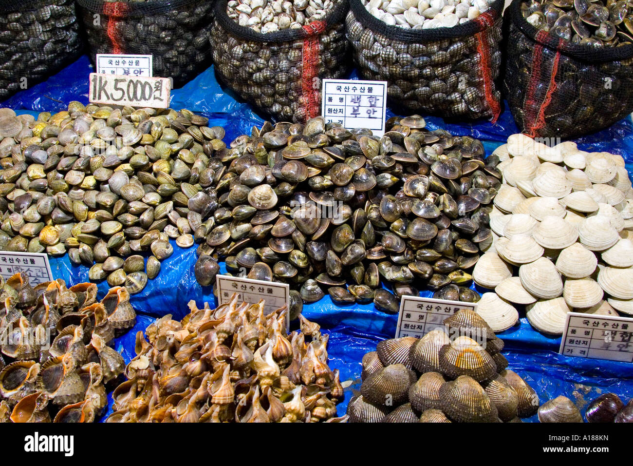 Noryangjin Fish Seafood Market Seoul Korea Stock Photo - Alamy