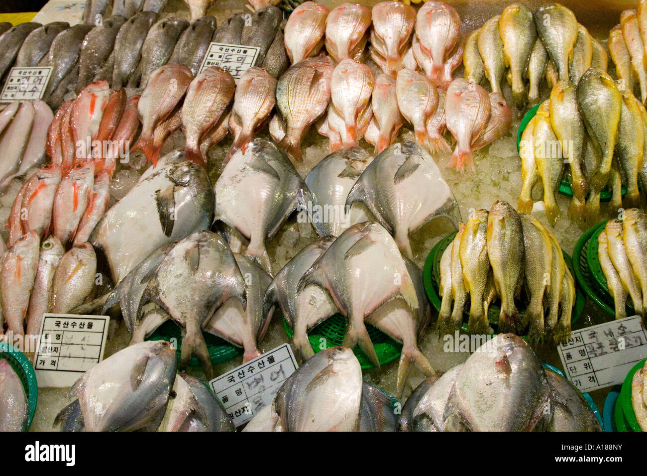 Noryangjin Fish Seafood Market Seoul Korea Stock Photo - Alamy