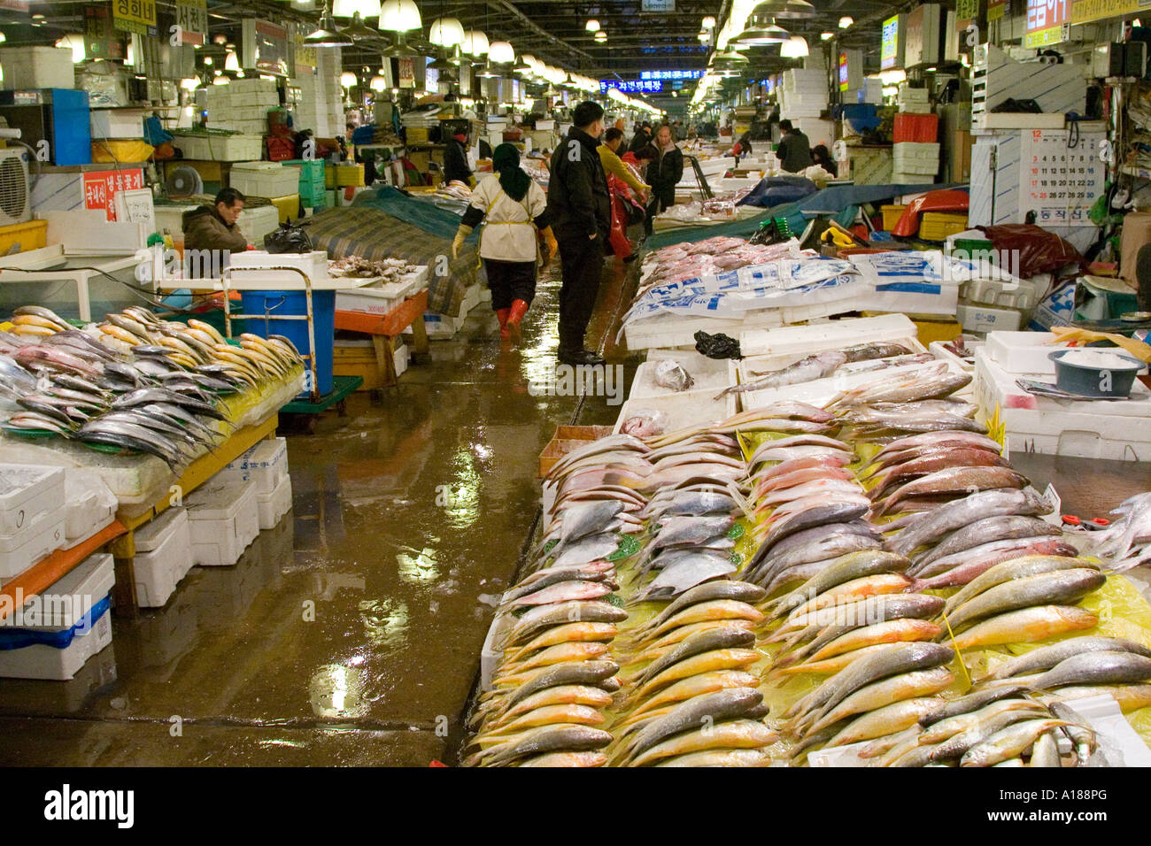 Noryangjin Fish Seafood Market Seoul Korea Stock Photo - Alamy