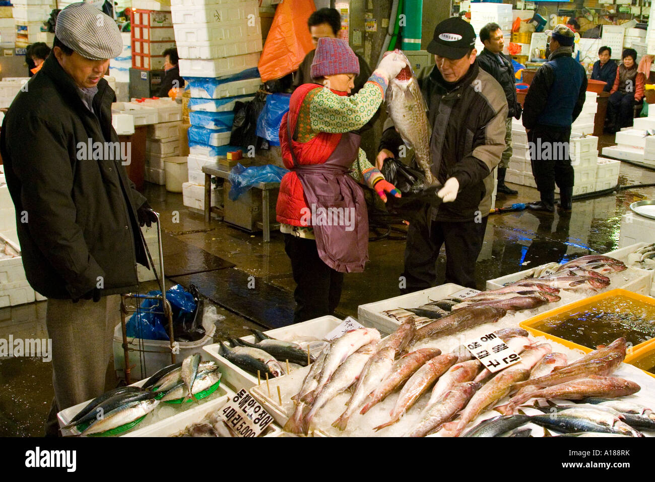 Noryangjin Fish Seafood Market Seoul Korea Stock Photo - Alamy