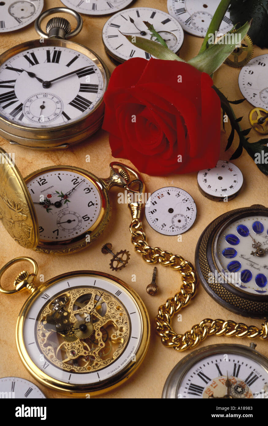 Pocket watches and red rose Stock Photo - Alamy