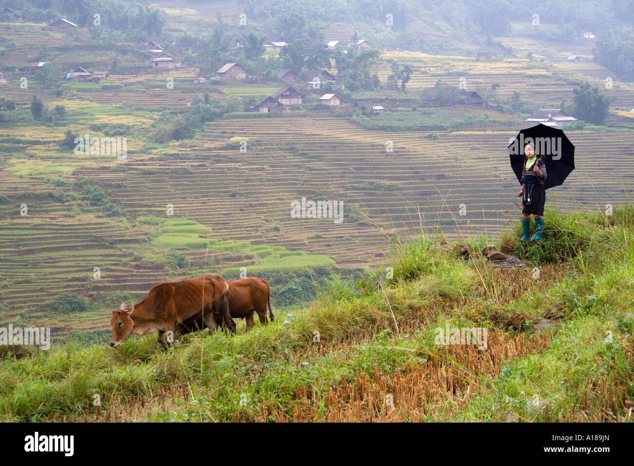 Northern vietnam ethnic peoples hi-res stock photography and images - Alamy