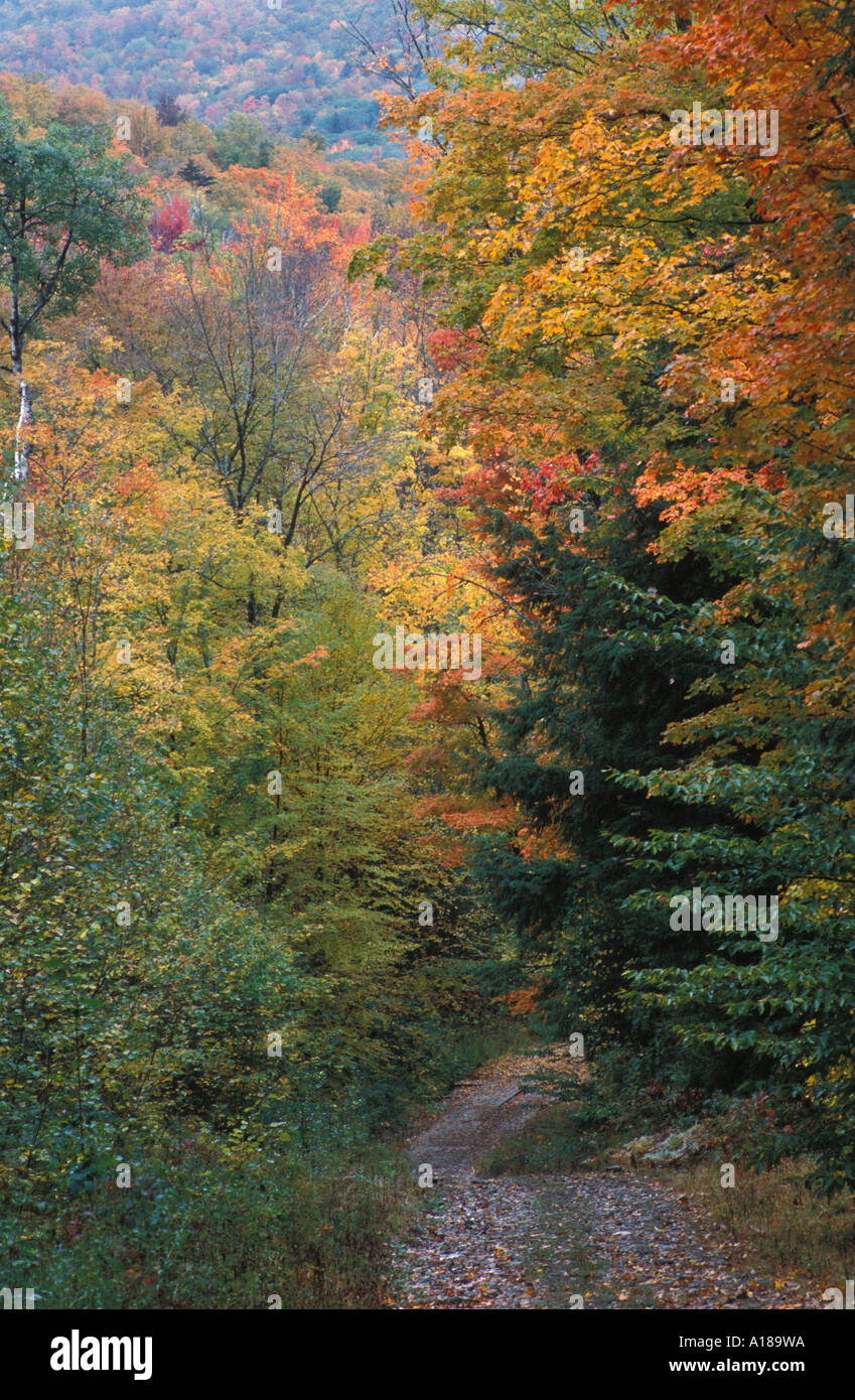 Appalachian logging hi-res stock photography and images - Alamy